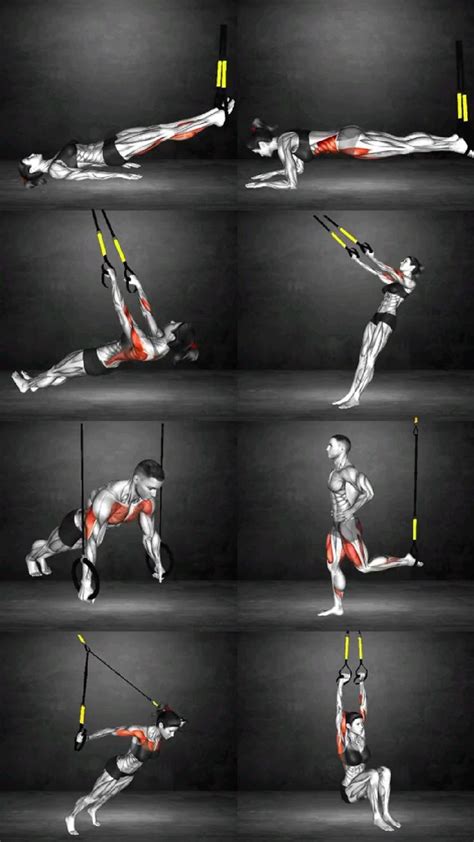 Full Body Trx Trx Workouts For Women Trx Workout Plan Trx Ab Workout