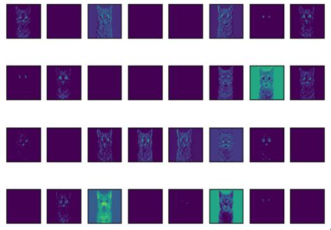 Cnn Anatomy Revealing Layer Output Dynamics