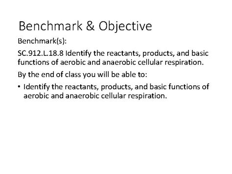 Photosynthesis Review Benchmark Objective Benchmarks Sc 912 L