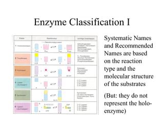 Classification And Nomenclature Of Enzymes Ppt