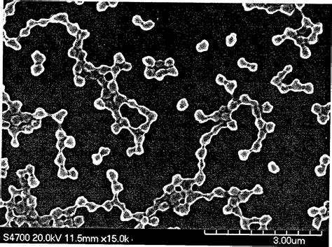 Process For Preparing Cross Linking Maleic Anhydride Styrene Copolymer