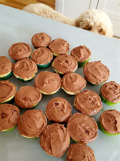 388 Best Naughty Girls Images On Pholder Sfw Next Door Girls