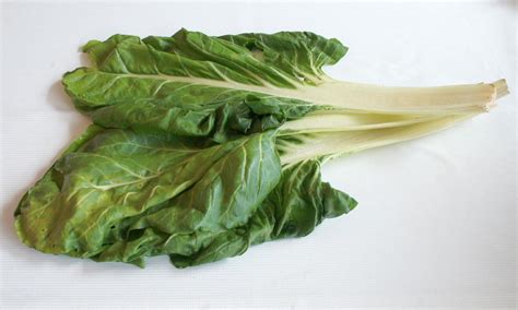 Tallo De Acelgasrepollo ¿crudo Orgánico Fundación Ge