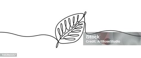 연속적인 선으로 나뭇잎 모양 그리기 가는 선 디자인 벡터 그림 0명에 대한 스톡 벡터 아트 및 기타 이미지 0명 나무 날씬한 Istock
