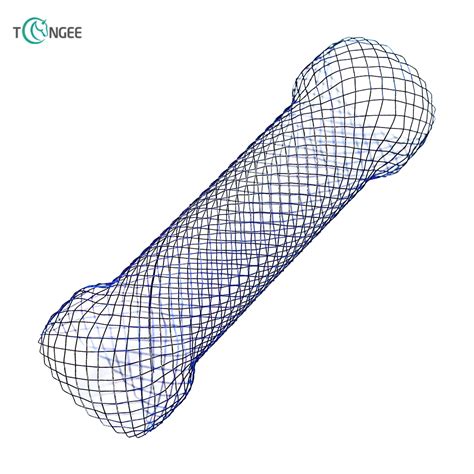 What Is A Fully Covered Esophageal Sems Hangzhou Tangji Medical