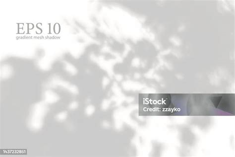 투명 한 자연 식물 그림자입니다 조명 효과 오버레이 메쉬 그리드 나뭇 가지 식물 단풍 및 나뭇잎의 그림자 프리젠 테이션 당신의