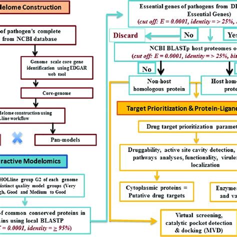 Overview Of Different Computational Steps Employed For The