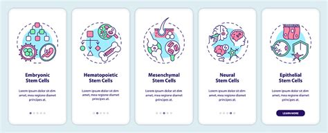 Walkthrough Types Of Stem Cell With Colorful Thin Line Icons Stock