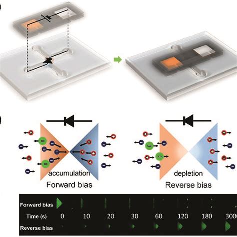 A Equivalent Circuit And Schematic Diagram Of A Polyelectrolyte Ionic Download Scientific
