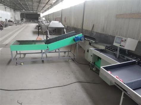 China Customized Electronic Avocado Fruit Sorting Machine Suppliers