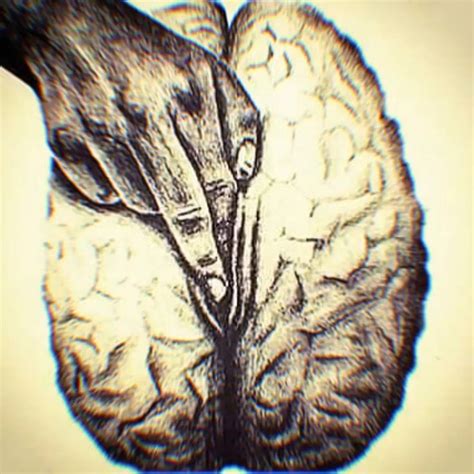 Masturbe Seu C Rebro Excite Sua Mente E Ejacule Ideias Autor Desconhecido Instagram