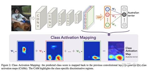 浅谈class Activation Mapping（cam） 知乎
