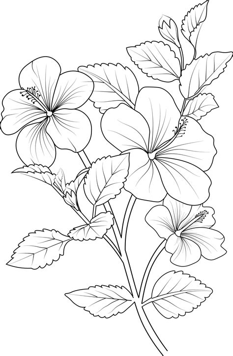 Dibujo De Flor De Hibisco Mano Dibujar Ilustración De Jarrón De Flores