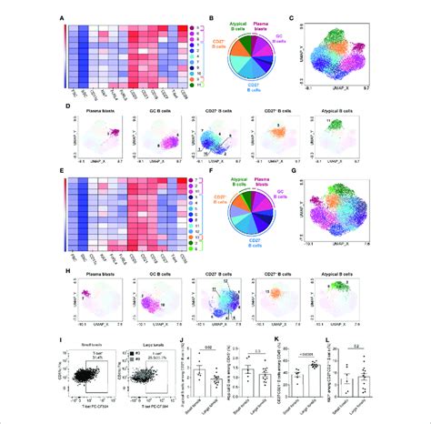 Atypical Memory B Cells In Tonsils Of Pediatric Patients With Osa