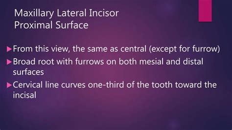 Permanent Anterior Teeth Pptx