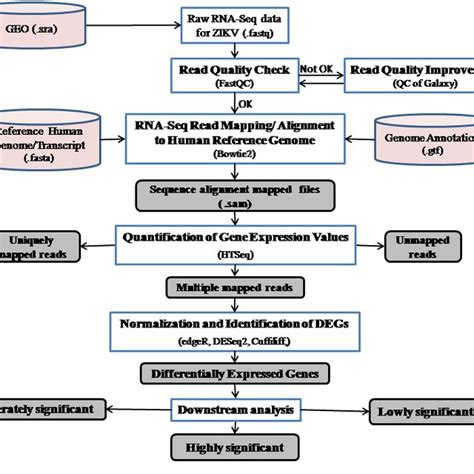 Workflowdiagram For Differentially Expressed Genes Degs Download Scientific Diagram