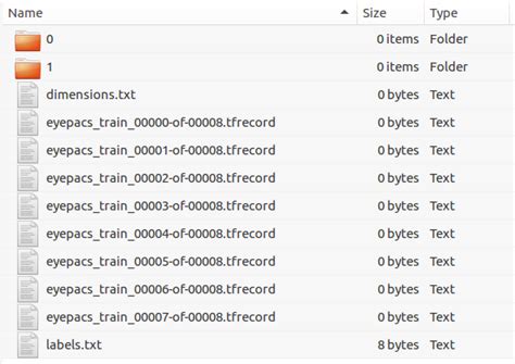 empty tf records files