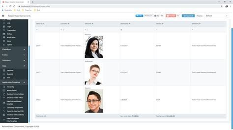 Filtered Grid Row Count Blazor Server Radzen