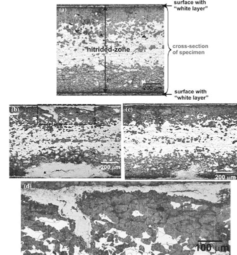 Light Optical Micrographs Of The Etched Cross Section Of A Fe4wt V