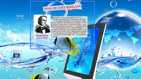 Tipul De Date Boolean By Panainte Elena On Prezi