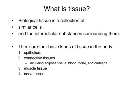 Ppt Tissues And Junctions Powerpoint Presentation Free Download Id 4528649