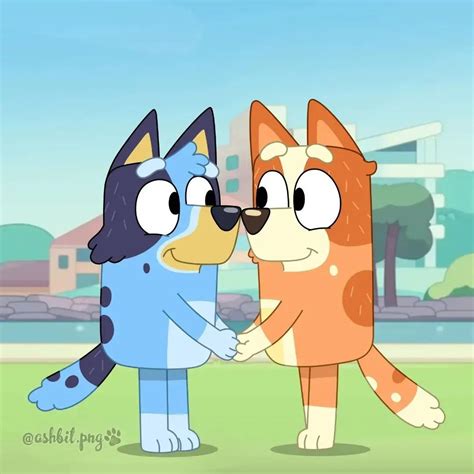 Vet Corgi Fanart Bluey Artofit