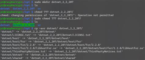Upgrade Dotnet Core In Raspberry Pi 4 Helder Viana Net Developer