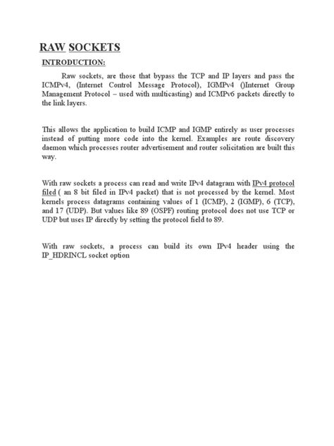 raw sockets pdf internet protocols network socket