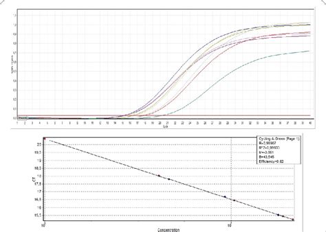 Antibiotic Resistant Gene Expression Rates And Standard Curve Analysis Download Scientific
