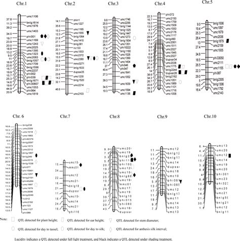Chromosomal Location Of Quantitative Trait Loci Qtl For Shading Download Scientific Diagram