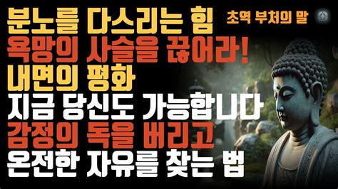 초역부처의 말에서 찾은 분노와 욕망에서 자유로워지는 법 내면의 평화를 찾는 7가지 지혜 Youtube