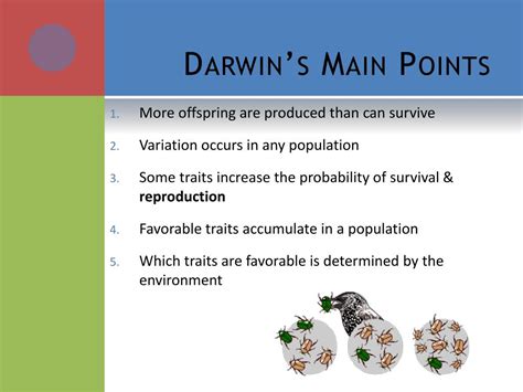 Ppt Evolution And Classification Powerpoint Presentation Free Download Id6052777