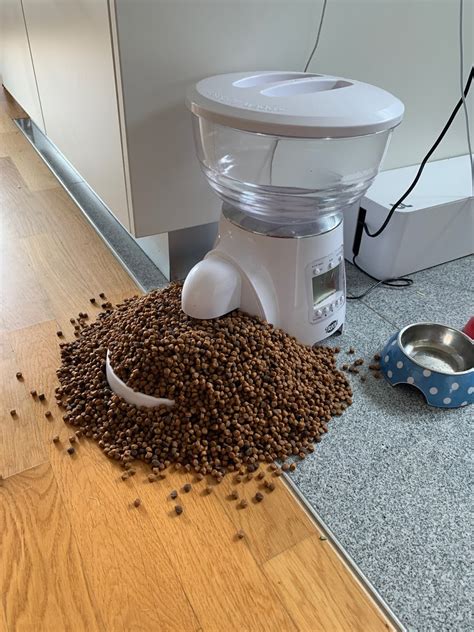 GitHub Tonibirrer Catfeeder Feed My Cats With A Raspberry Pi
