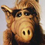 The Alf Team Meme Generator Imgflip