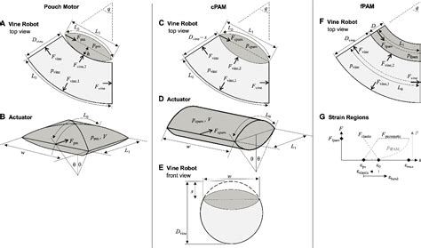 Figure 5 From A Comparison Of Pneumatic Actuators For Soft Growing Vine