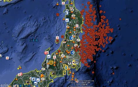 日本核泄漏多可怕？动物“变异”满街跑，海里都是“狼鱼”！核泄漏狼鱼变异新浪新闻