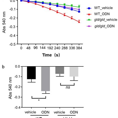 Kcs Are Involved In Cpg Odn Sensitization To Flux Induced Mitochondrial Download Scientific