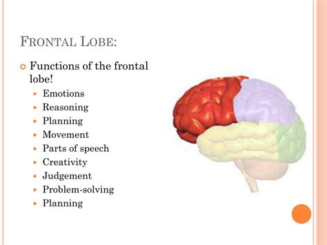 Ppt Somewhere Over The Brainbow Powerpoint Presentation
