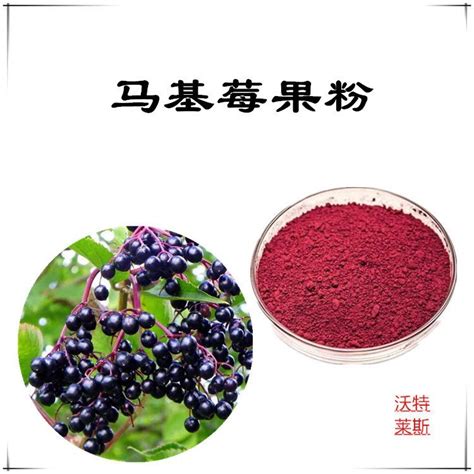 沃特莱斯生物 马基莓果粉 速溶粉 水溶 紫红色粉末 粉末细腻 质量稳定