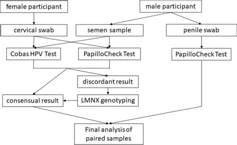 Methods Used For Hpv Detection In Different Sample Types Download