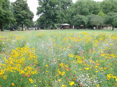 Beautiful Cambridge Savecambridge Twitter