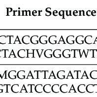 Sequencing Type And Primer Sequence Download Scientific Diagram