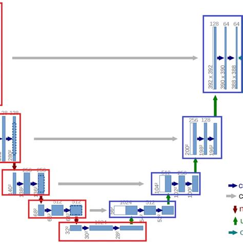 The Architecture Of A U Net Network Download Scientific Diagram