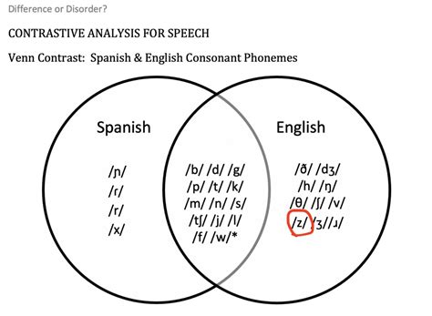 Is It Okay To Target Cross Linguistic Influence Patterns In Speech Therapy