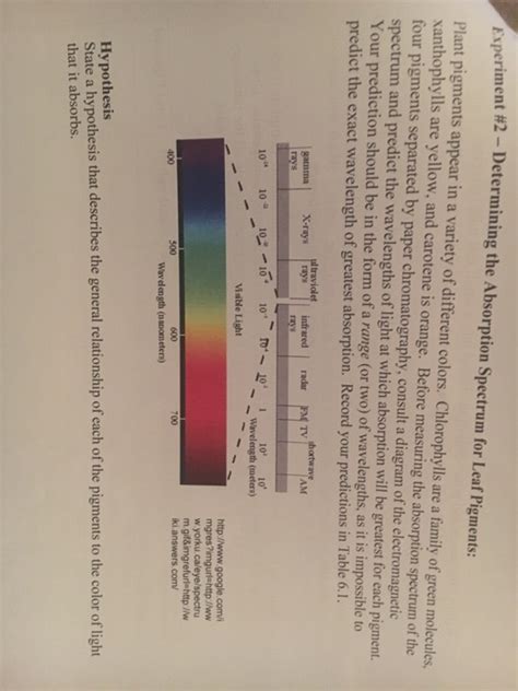 Solved Iment 2 Determining The Absorption Spectrum For Leaf