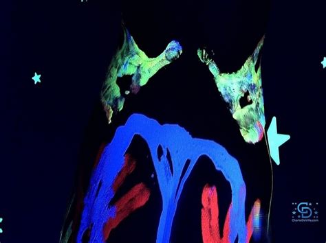 Glory Hole Crazy Fucking Session With Seduc Xxx Dessert Picture 10