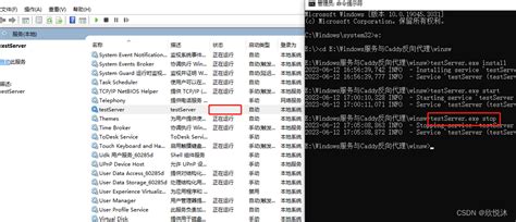 Windows服务winsw与caddy2反向代理caddy2 Windows Csdn博客