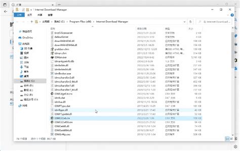 Idm下载浮动条不出来 Idm在edge不显示下载浮动条 Idm中文网站