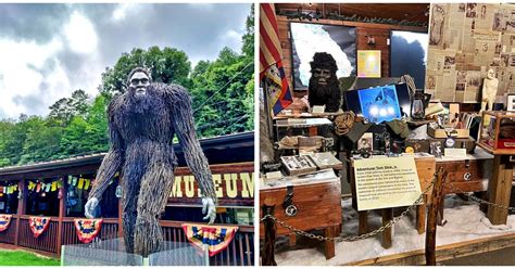 Theres A Bigfoot Museum In Georgia And Its One Of The Quirkiest