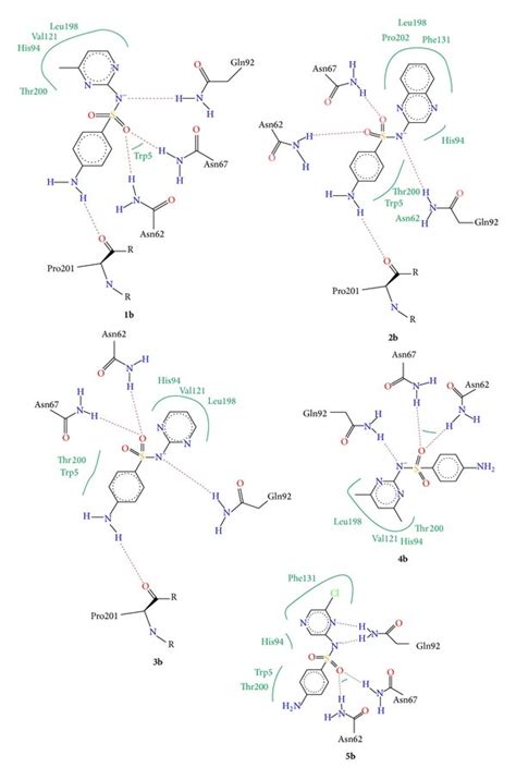 Interaction Diagrams Of The Selected Docked Conformations For Compounds